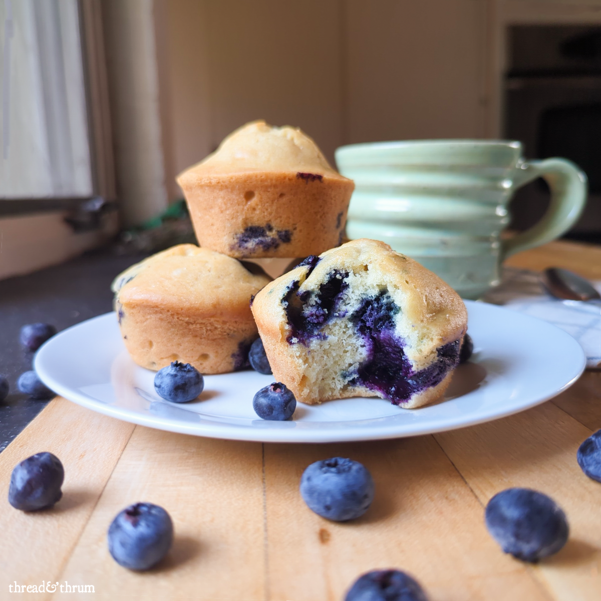 Vegan Blueberry Muffins – Thread & Thrum